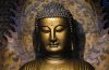 8 Buddha Quotes That Will Show the Power of Your Mind